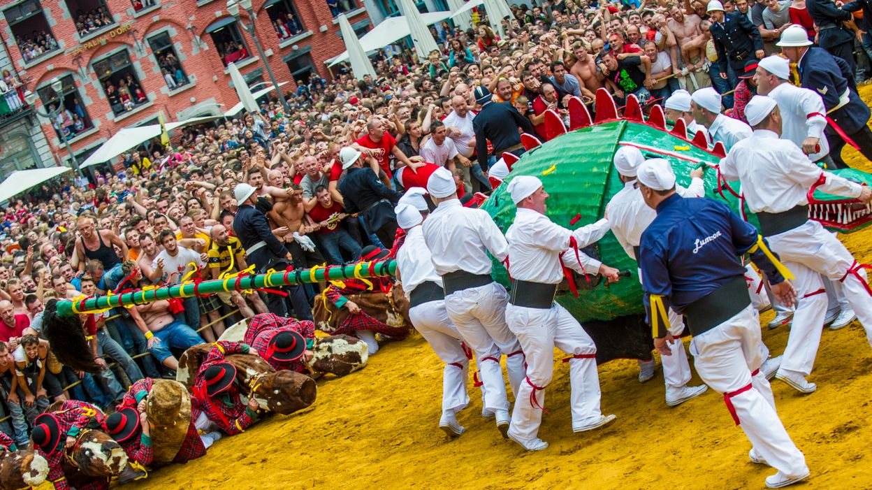 Télé MB - Réseau des médias de proximité